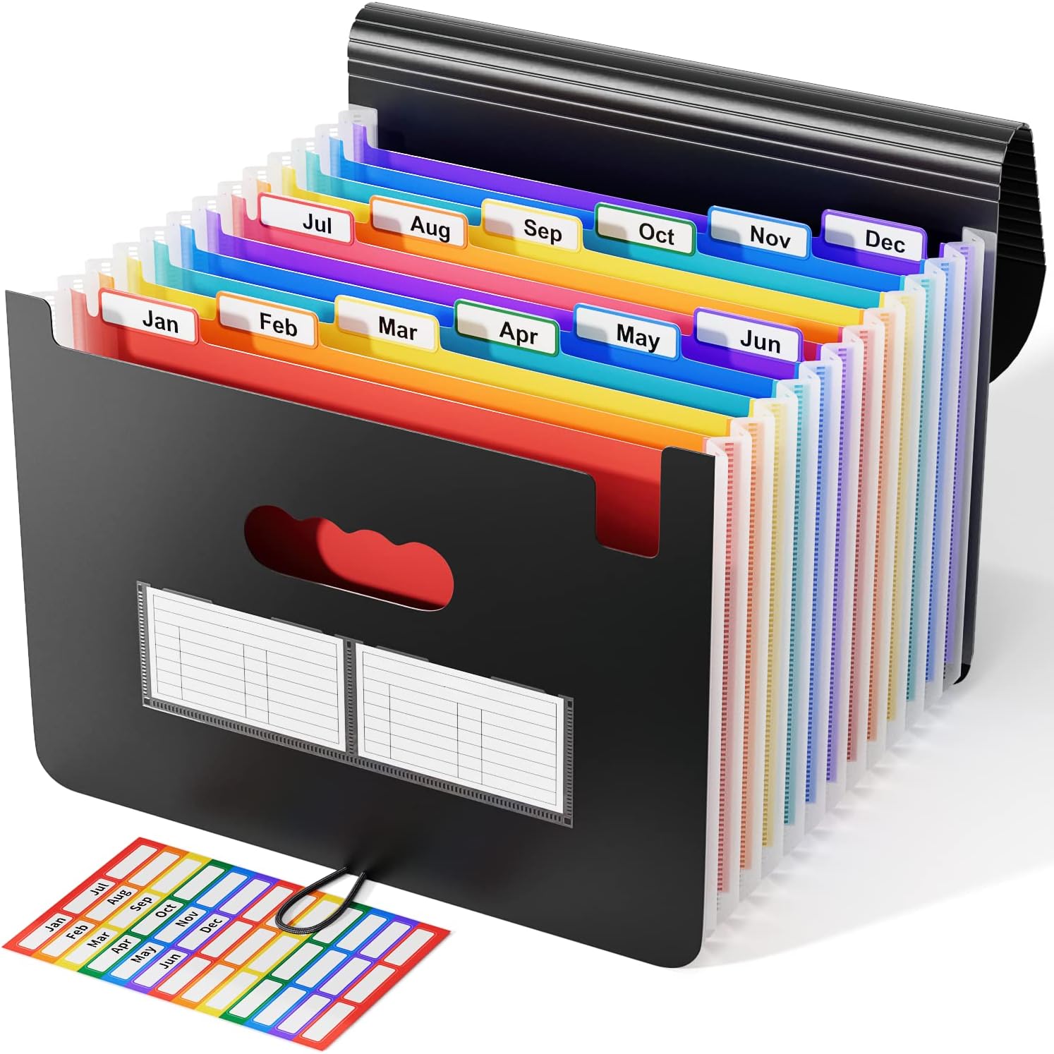 Expanding Files Folder Organizer/Expandable Accordian File Organizer ...