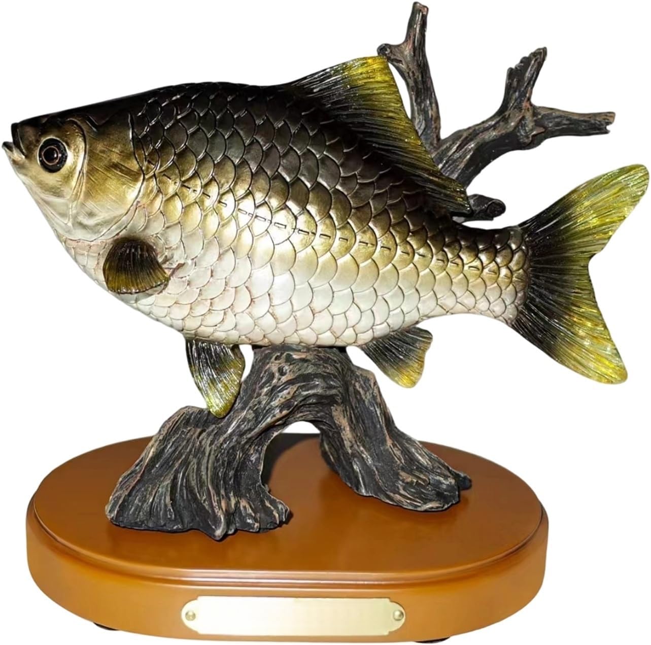Amazon.com: WLNTDOLA 1:2 Scale Common Carp Model Fish Animal Figure ...