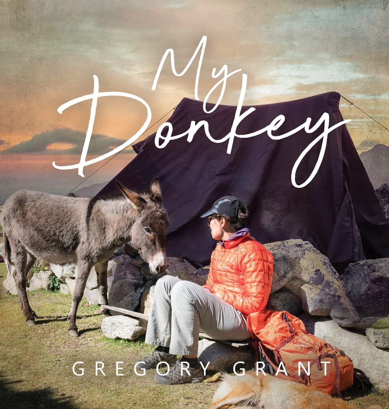Amazon.com: My Donkey: 9781959224310: Grant, Gregory: Books