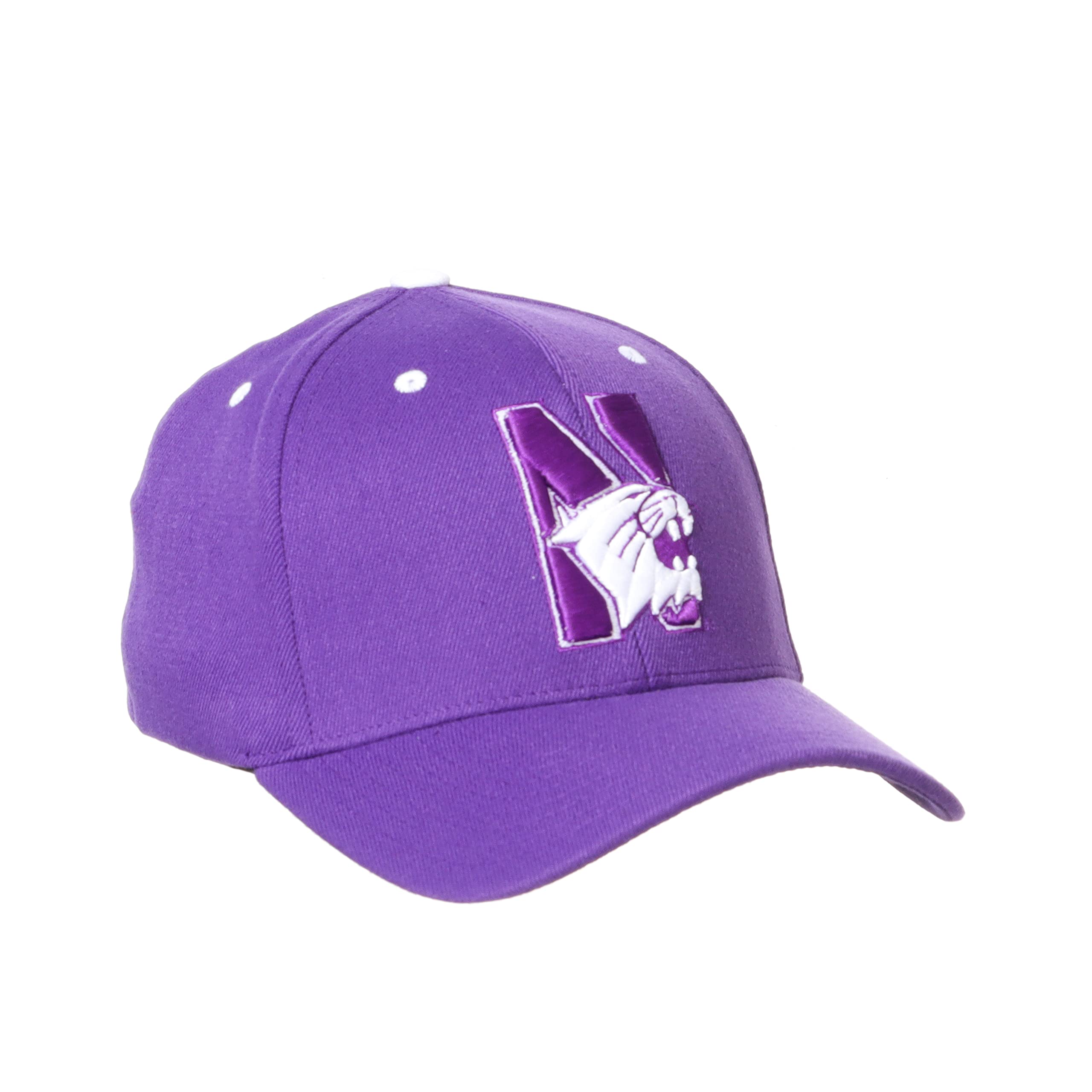 Snapklik.com : Northwestern Wildcats Stretch Fitted Hat Team Color