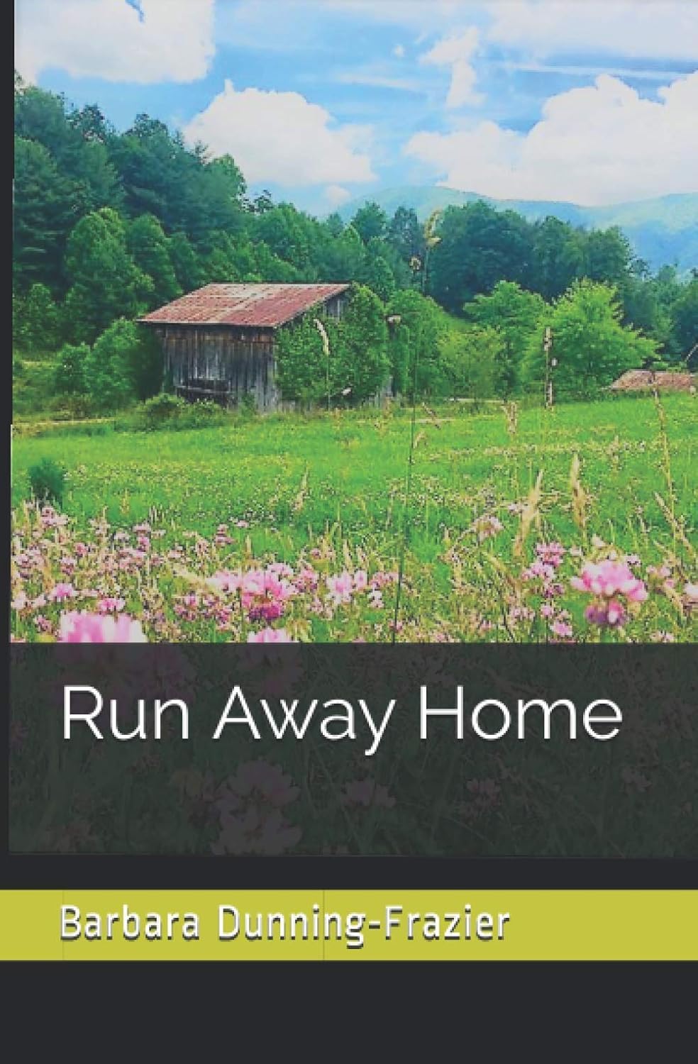 Run Away Home: Dunning-Frazier, Barbara: 9781530460694: Amazon.com: Books