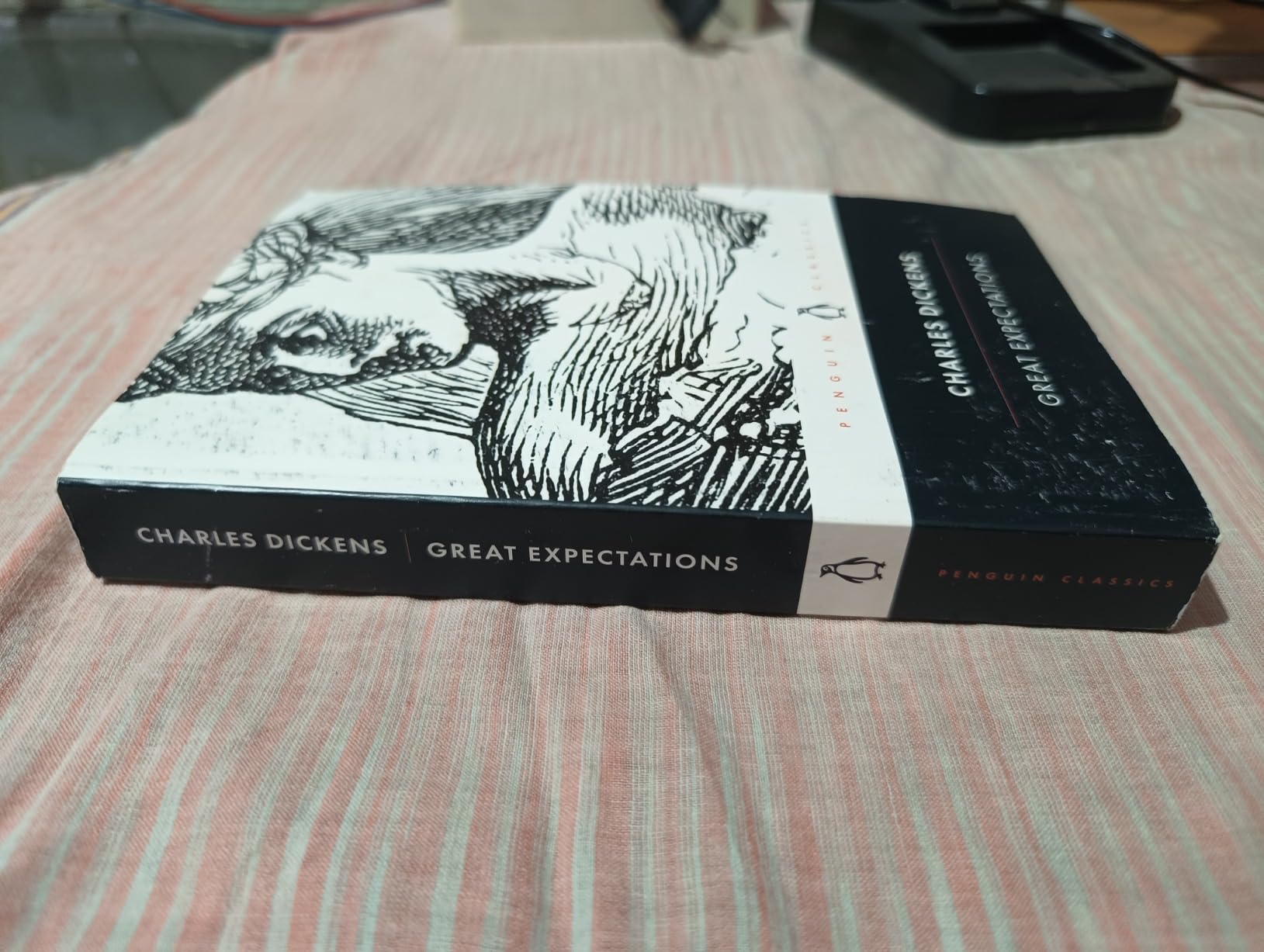 Great Expectations (Penguin Classics) eBook : Dickens, Charles ...