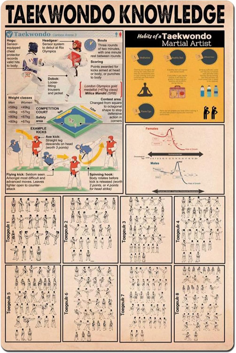 Amazon.com: Taekwondo Knowledge Metal Tin Signs Taekwondo Information ...