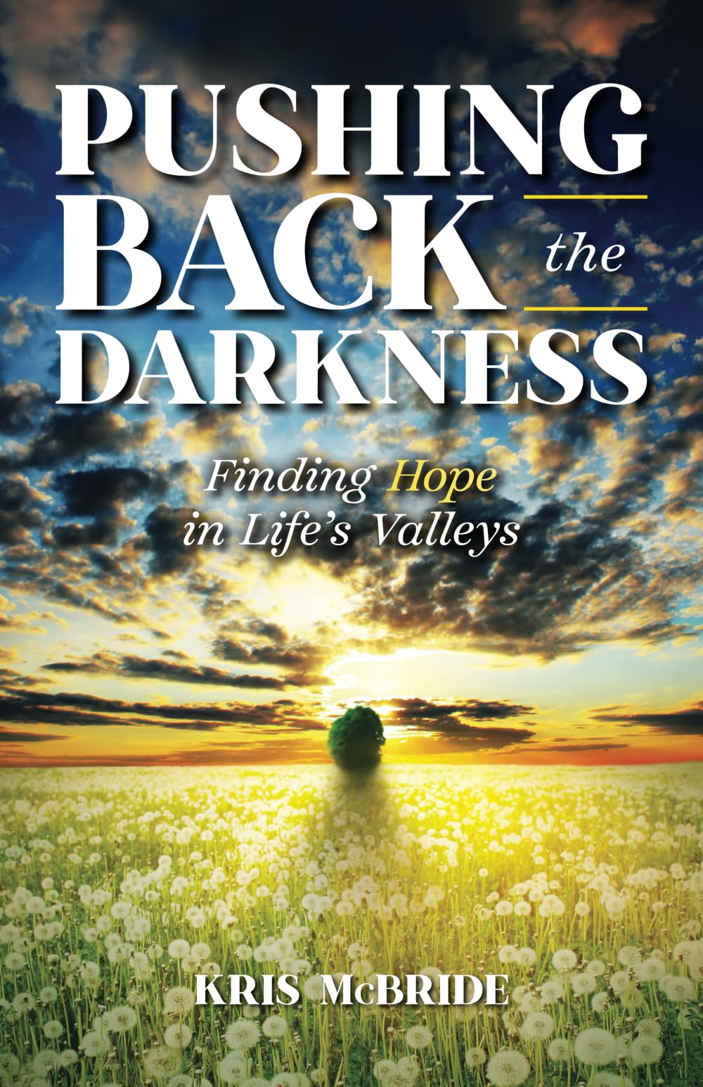 Pushing Back the Darkness: Finding Hope in Life's Valleys: McBride ...