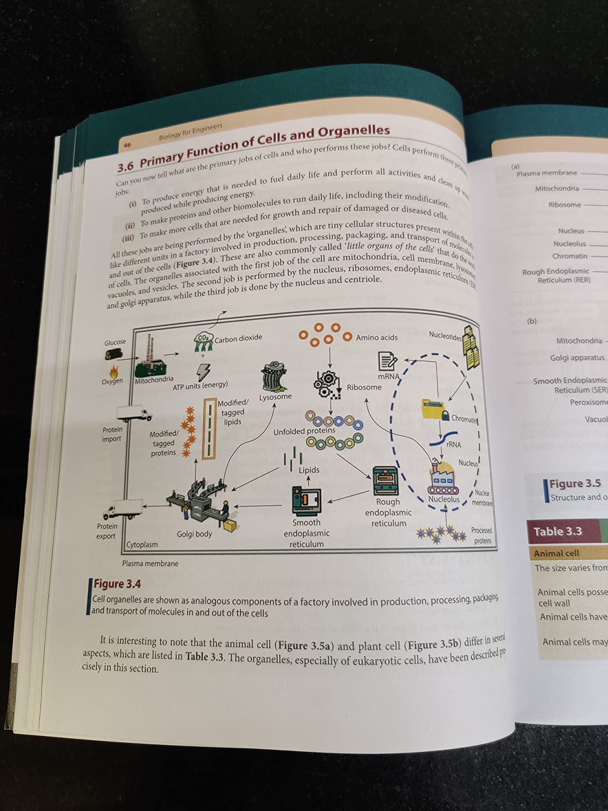 Buy Biology for Engineers Book Online at Low Prices in India | Biology ...