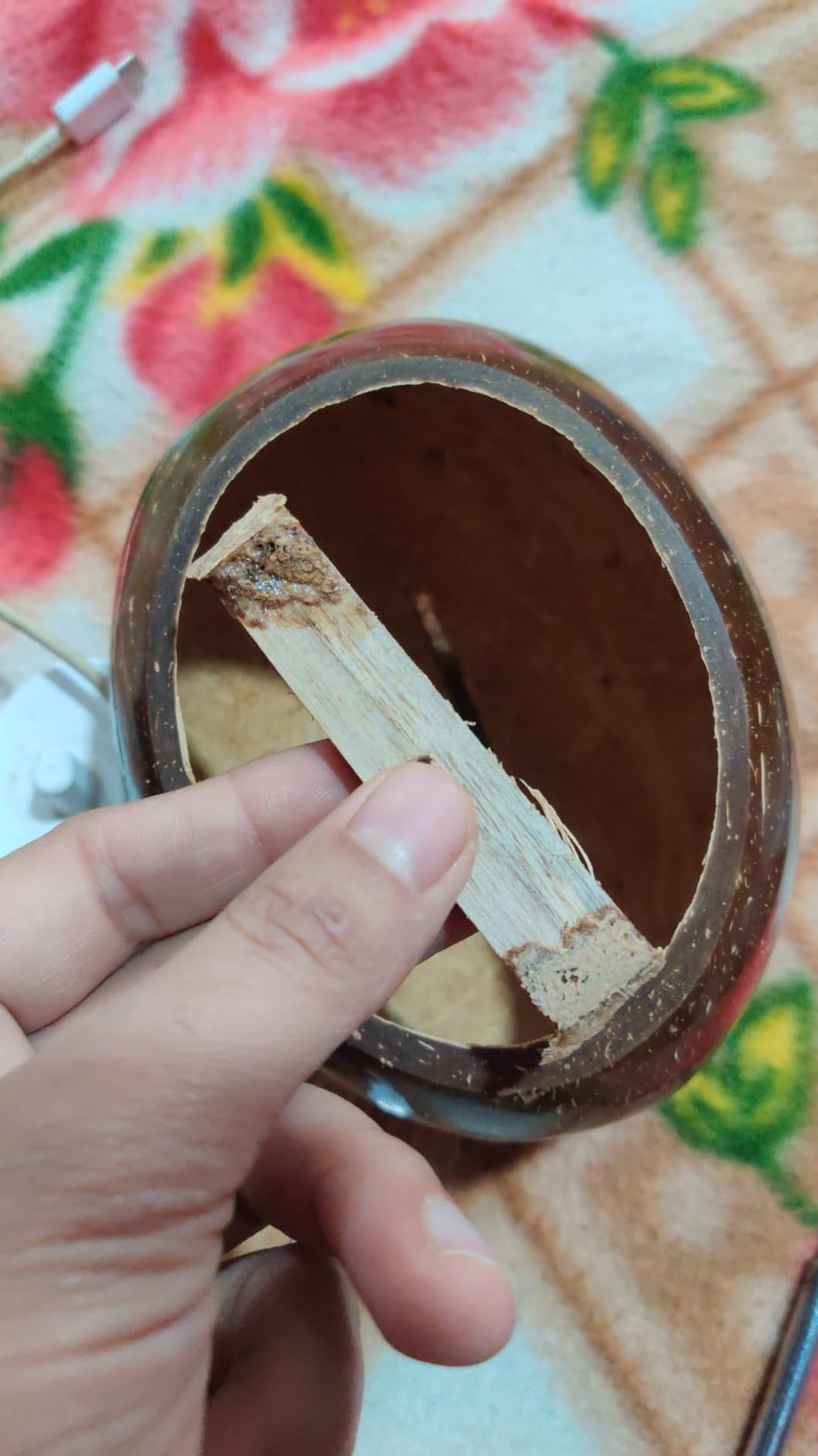 Thenga Coconut Shell Wooden Piggy Bank/Kudukka, Money Bank (Openable at ...