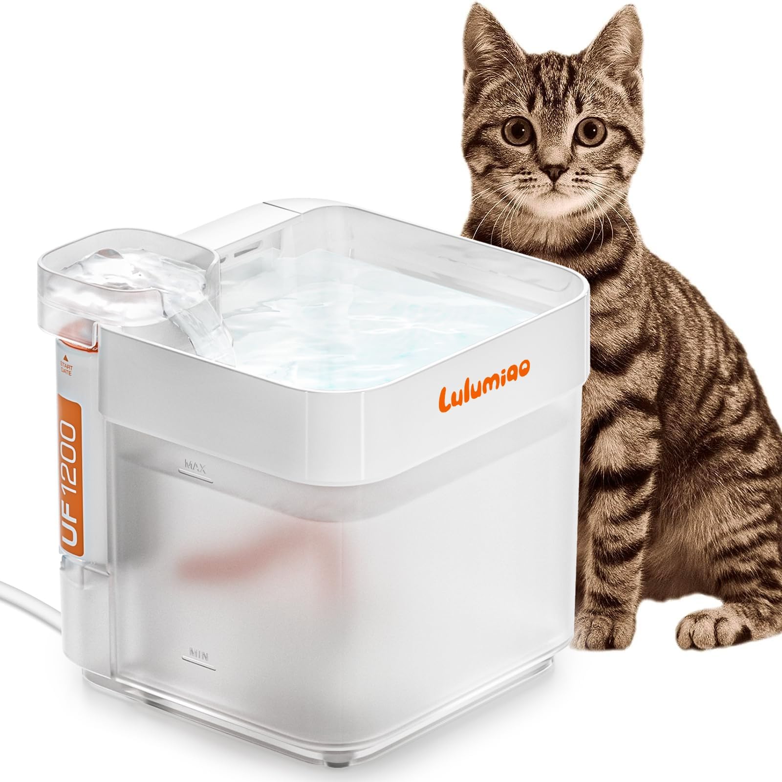 Lulumiao Cat Water Fountain, Automatic Dog Water Dispenser with Ultra-Filtration Membrane Filter ...