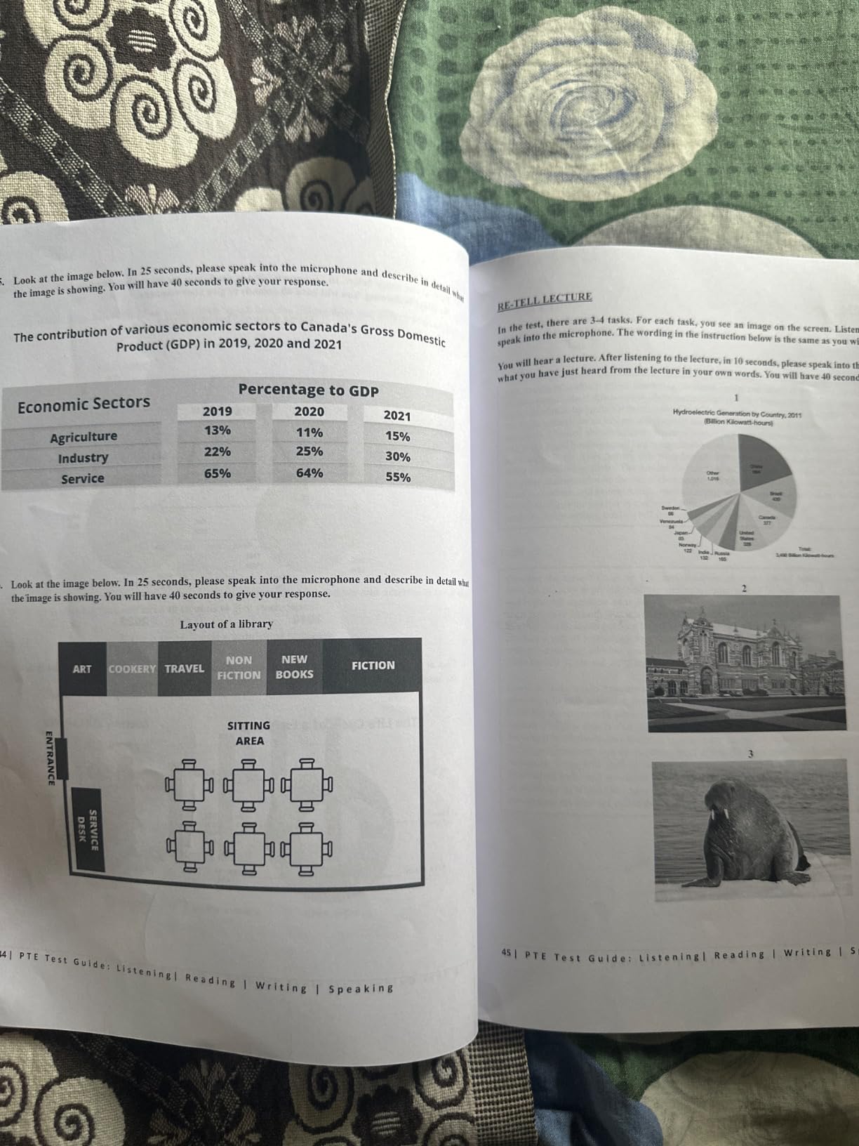 Buy PTE Test Guide: PTE book for exam preparation 2025 Book Online at ...