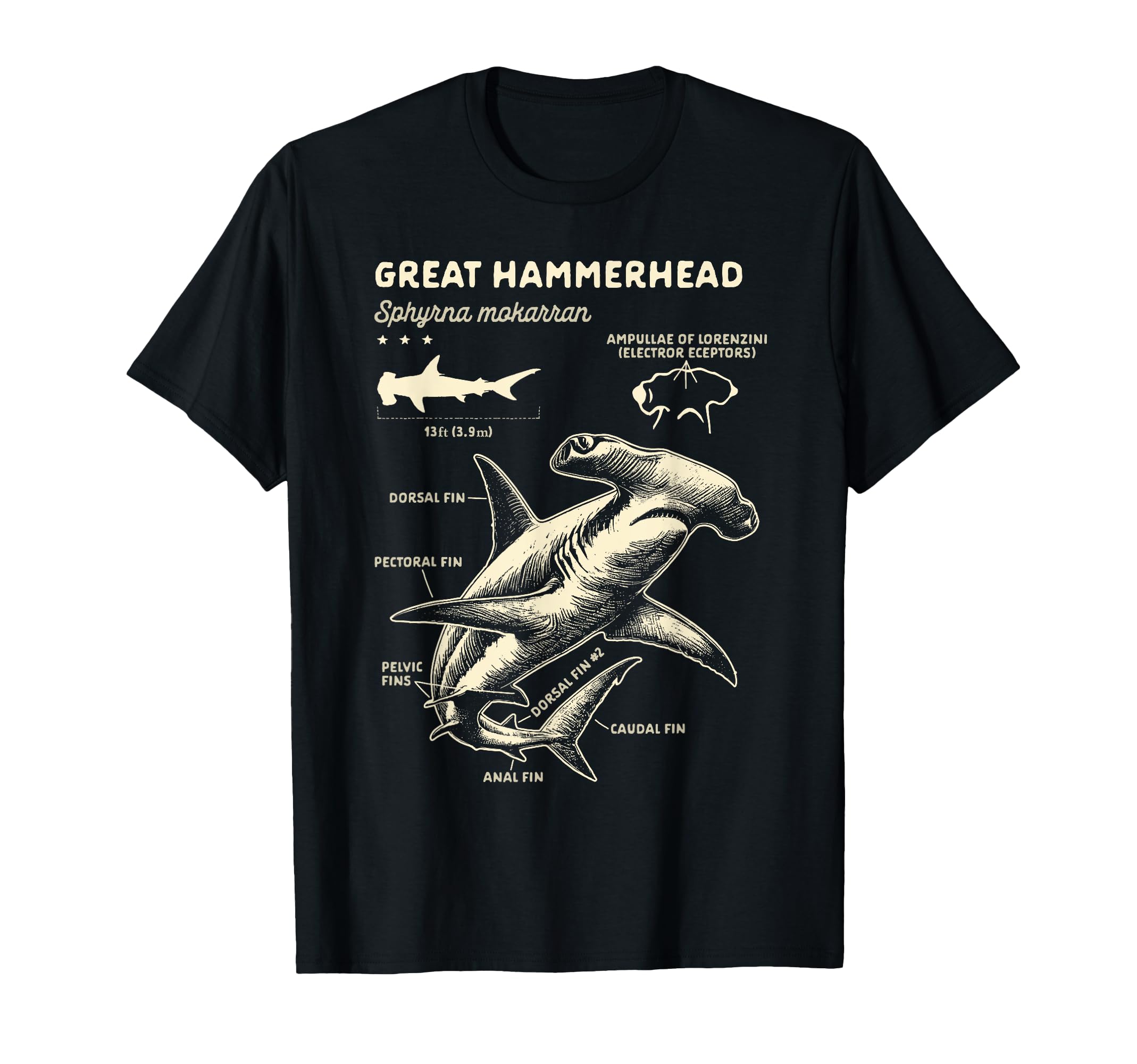 Amazon.com: Great Hammerhead Lover Shark Lover Great Hammerhead Anatomy ...