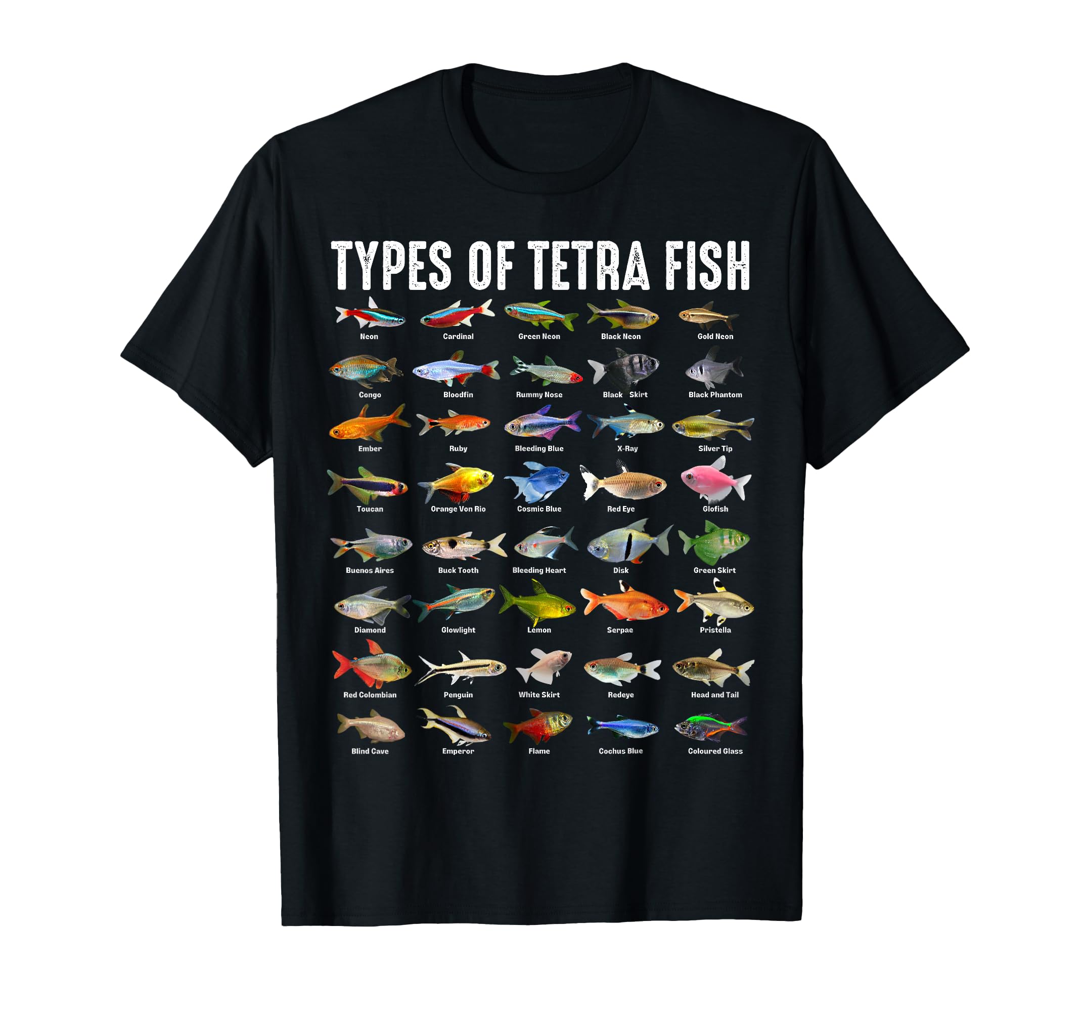 Amazon.com: Types of Tetra Fish - Tetras Aquarium Fish Species Lover T ...