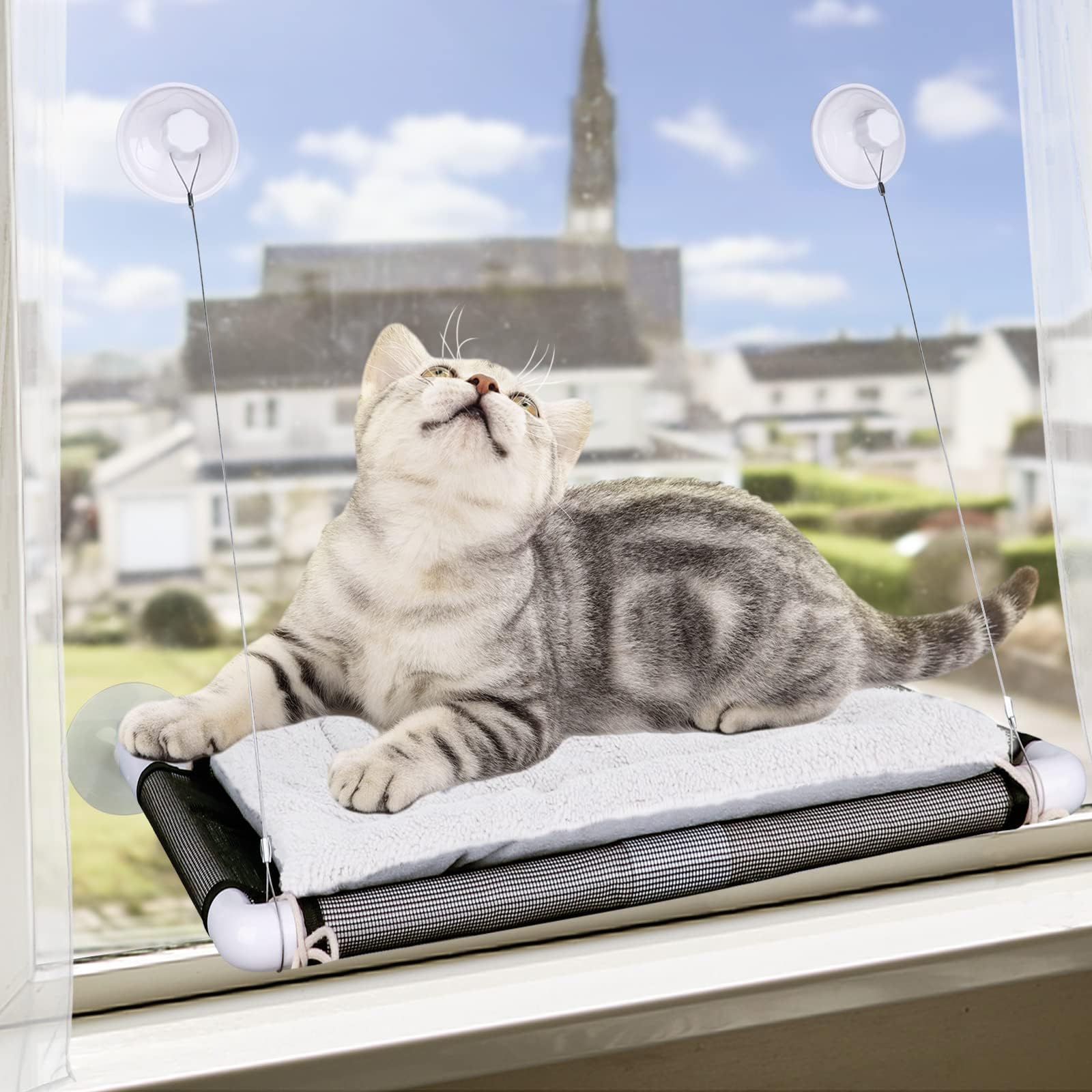 Amazon.com : Cat Window Perch, Cat Window Hammock Window Seat Safety ...