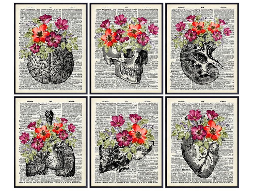 Amazon.com: Heart, Skull, Brain, Lungs, Kidney, Liver Wall Art Decor ...