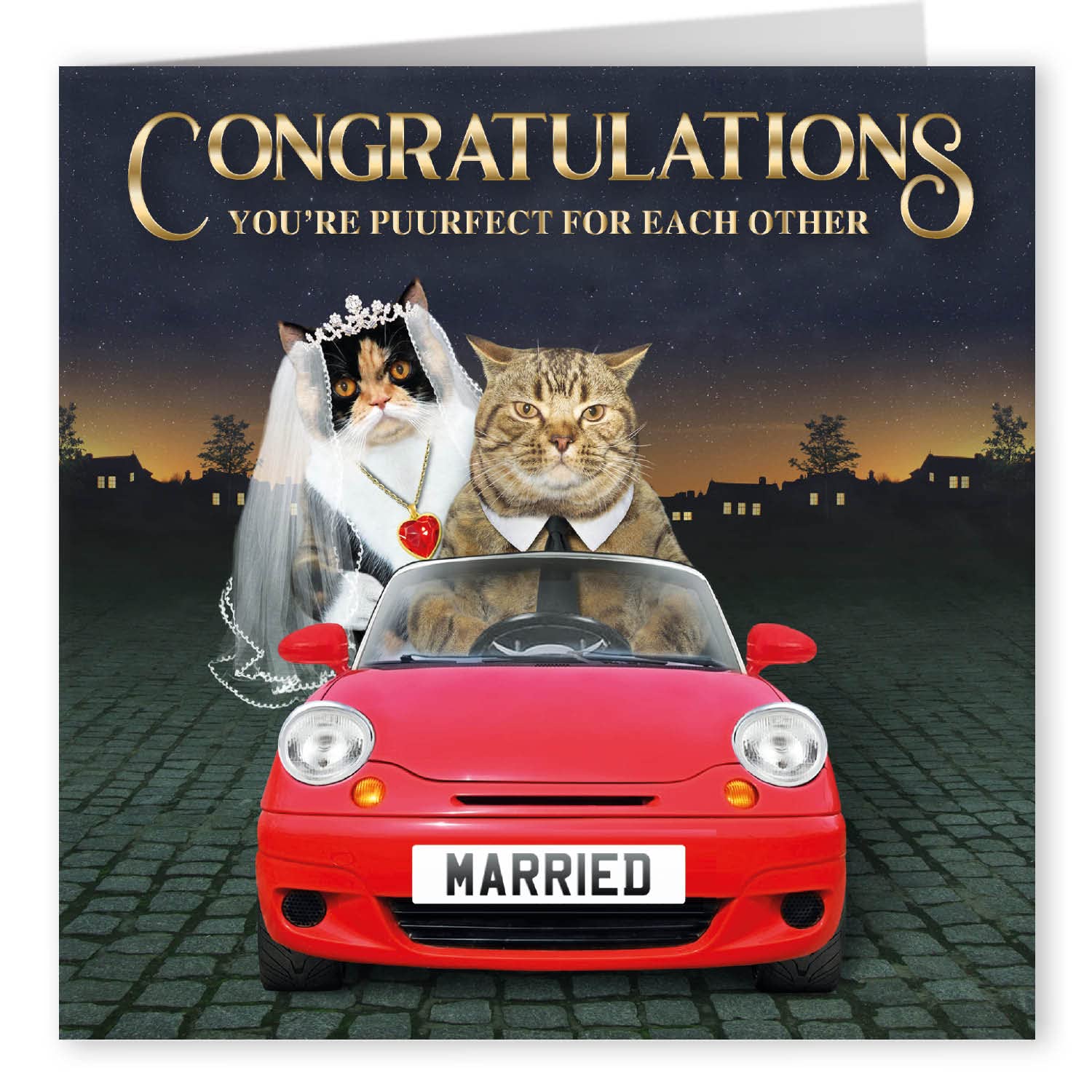 Cats Congratulations