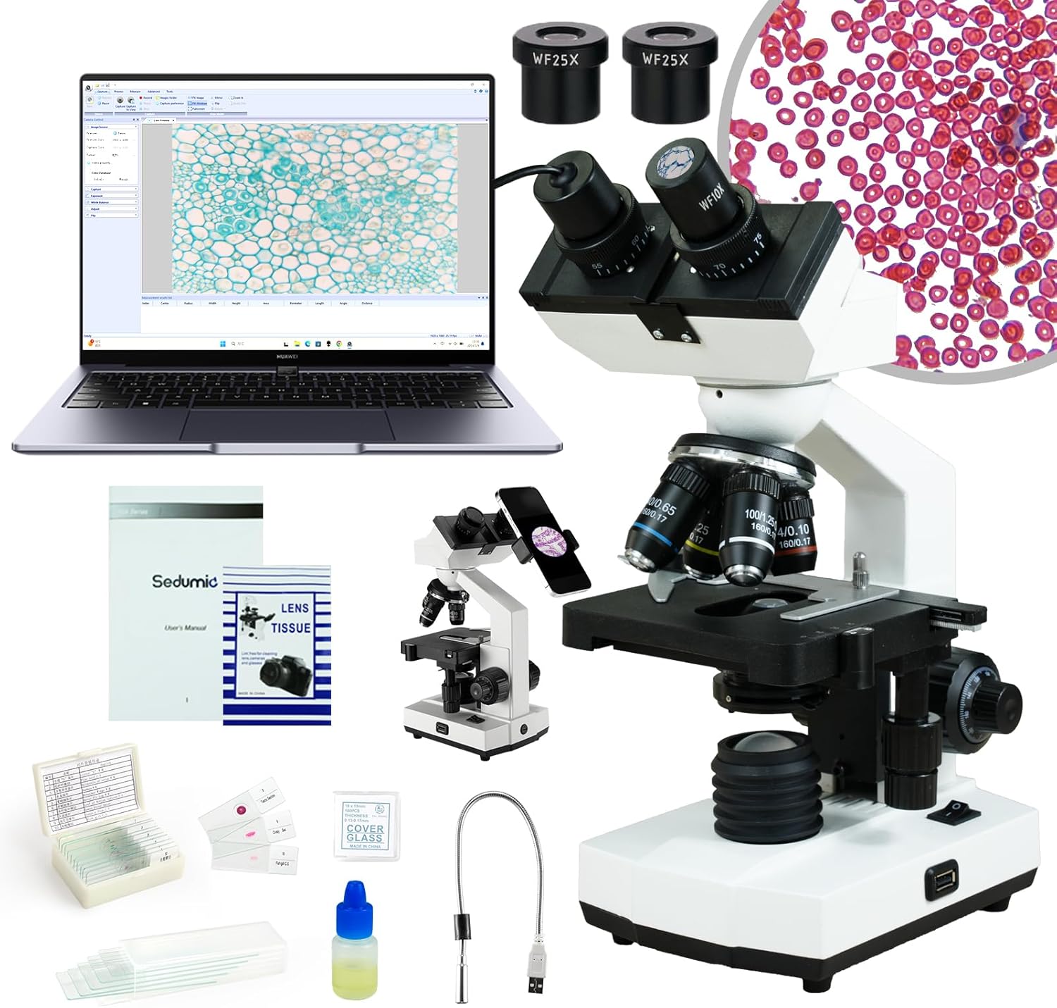 Amazon.com: Sedumic Microscope for Adults Students, 40X-2500X Binocular ...