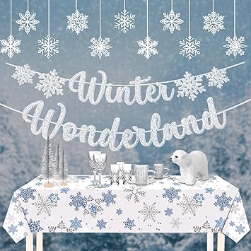 Amazon.com: Winter Wonderland Decorations 20Pieces Plastic Snowflakes ...