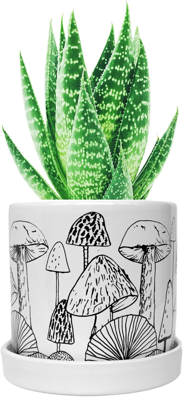 Amazon.com: KALALOU CDV2147 Set of Two Ceramic Toadstool Hanging ...