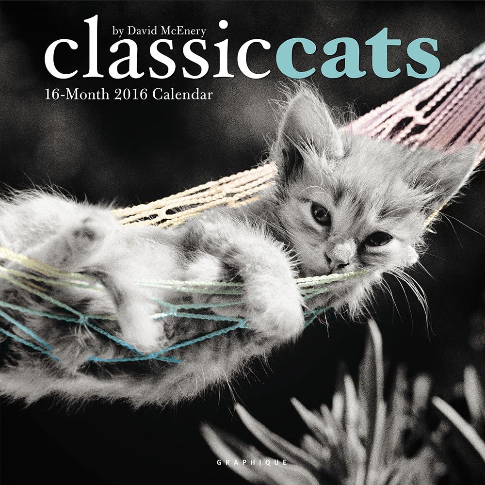 Amazon.com: Graphique Classic Cats 2016 Wall Calendar (CY0716 ...
