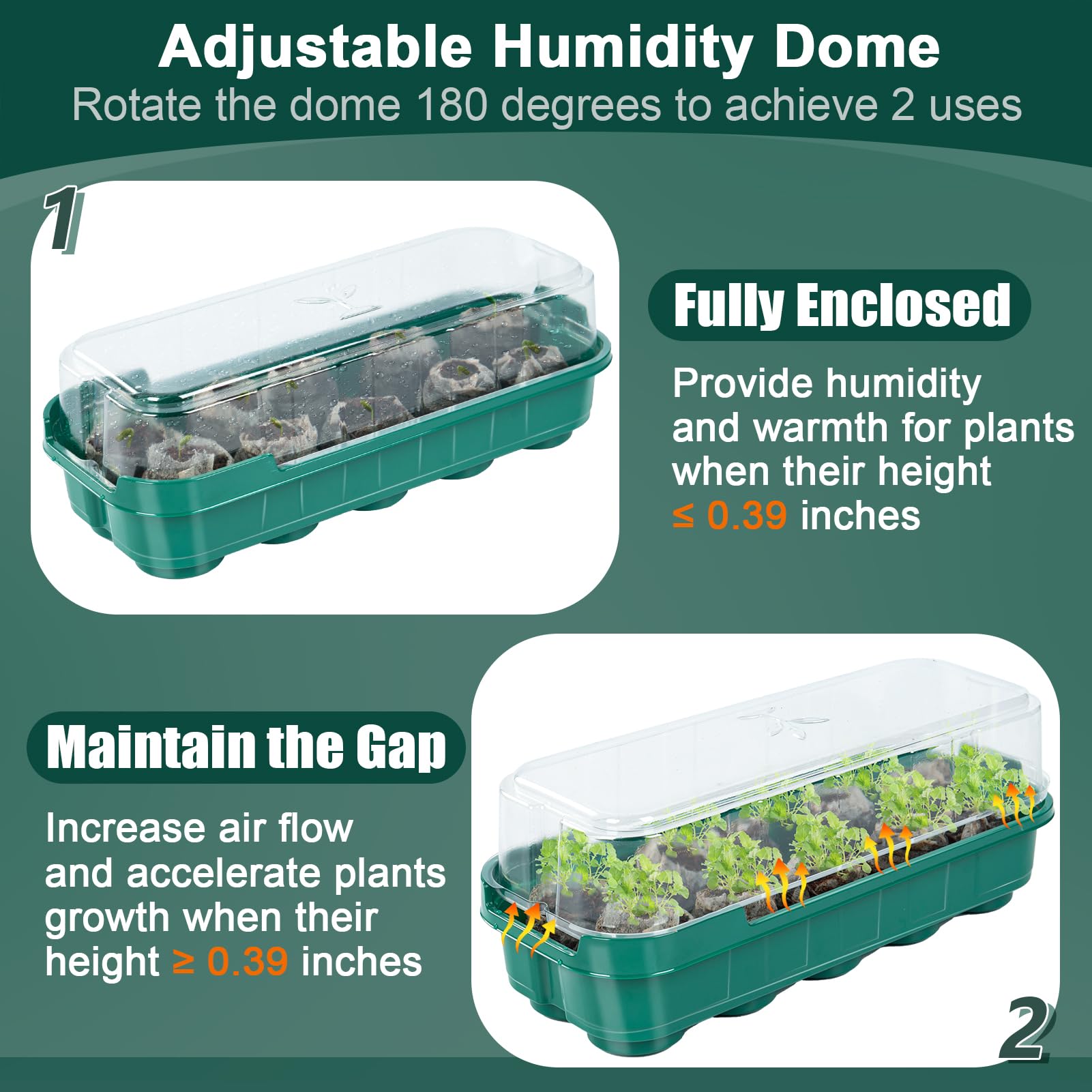 Snapklik.com : Bigmeta 6 Pack Seed Starter Kit- 60 Cells Adjustable ...