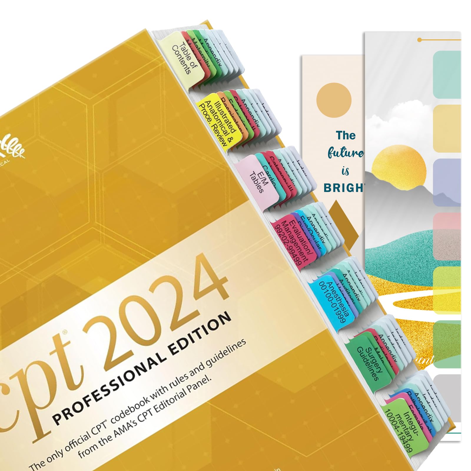 Buy Index Tabs for CPT 2024 Professional Edition (AMA), Upgraded 60 ...