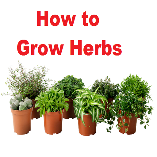 How to grow Herbs - App on Amazon Appstore