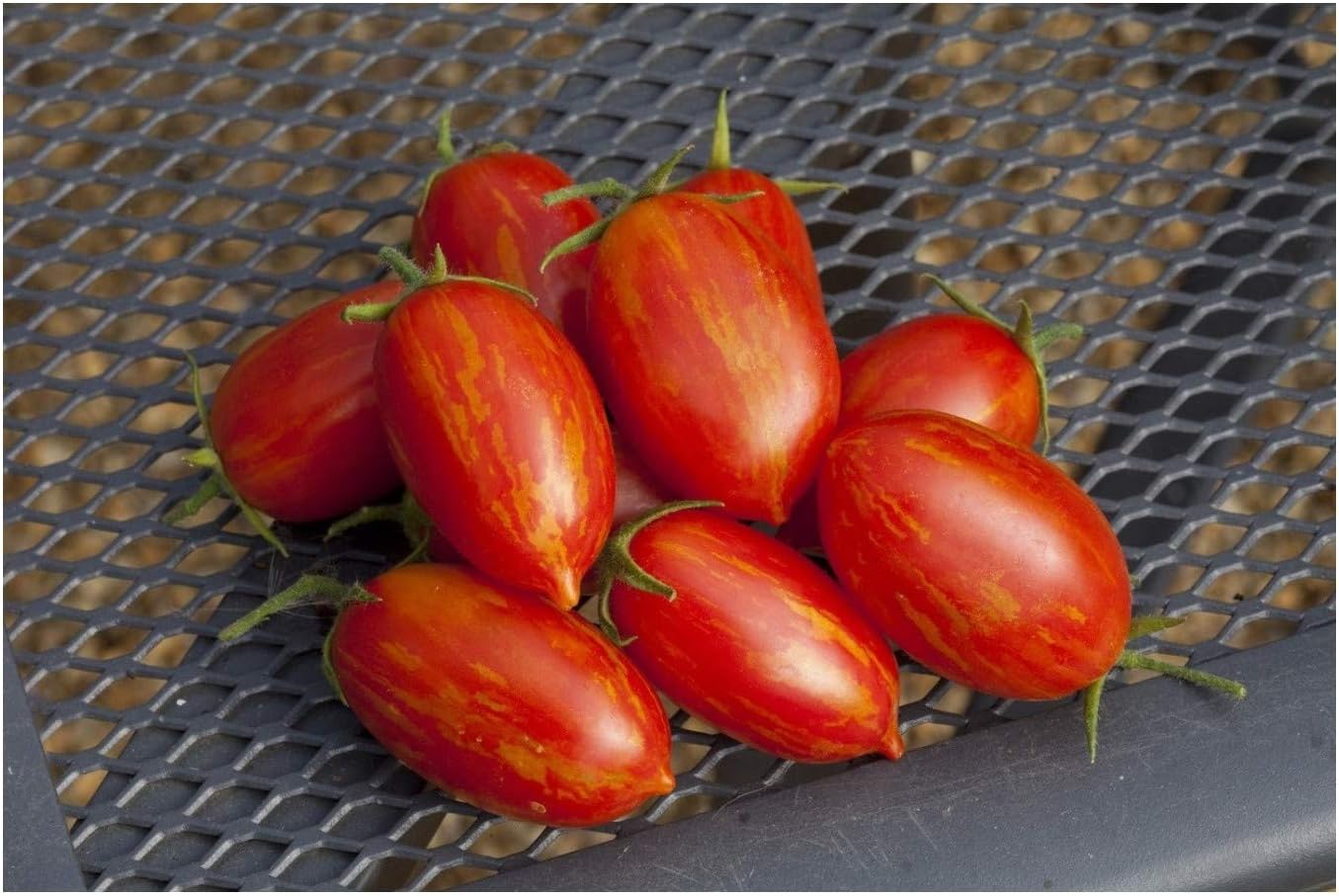 PREMIER SEEDS DIRECT Tomato - Trailing - SUNSTRIPE F1-20 Finest Seeds ...