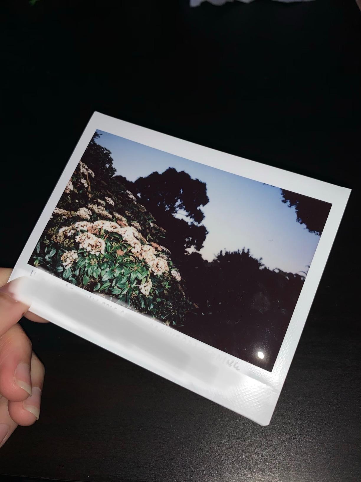 Instax Fujifilm Wide Film, White 20 Pack: Film: Amazon.com.au