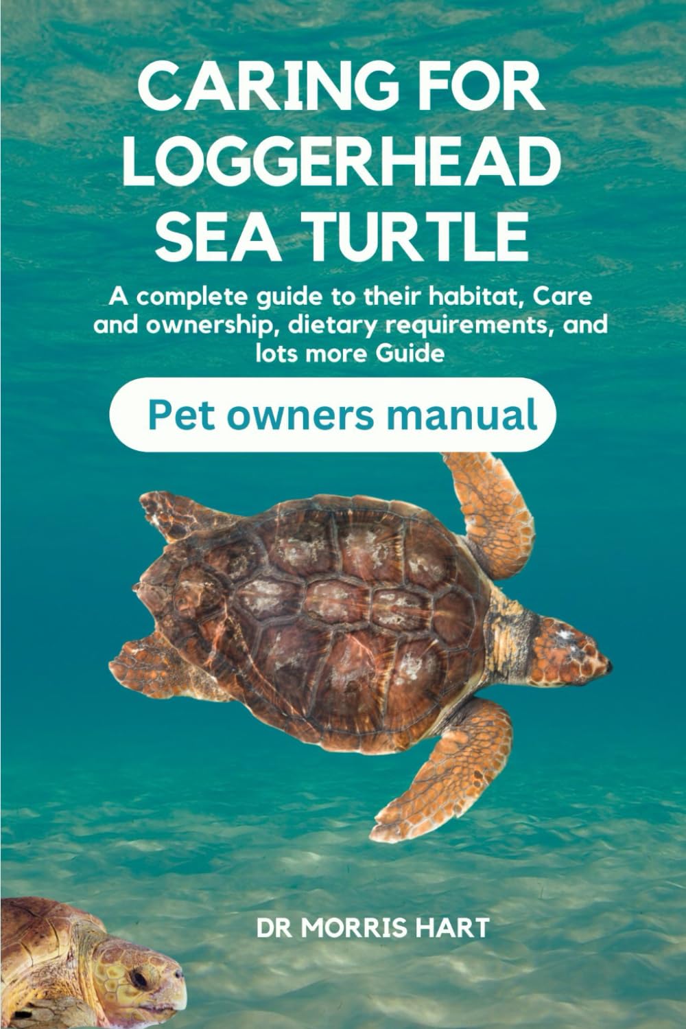 Loggerhead Sea Turtle Habitat Sea Turtle Conservancy: Our Save The
