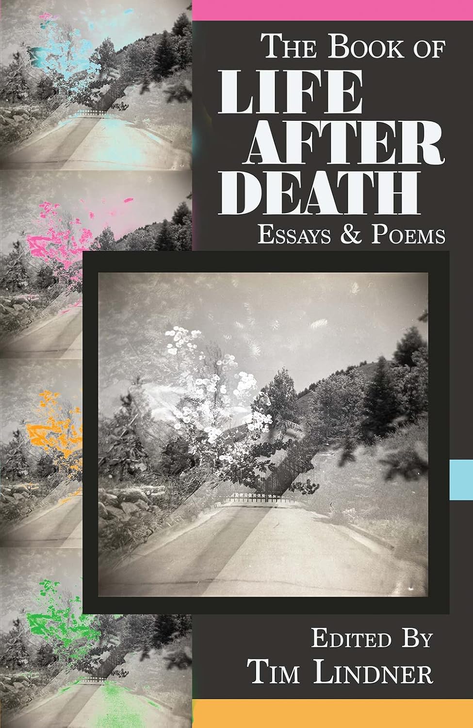 Amazon.com: The Book of Life After Death: Essays & Poems: 9781948800655 ...