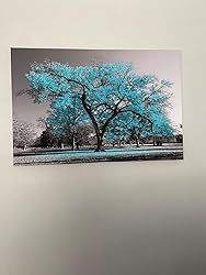 Large Tree Turquoise Teal Leaves Black White Canvas Wall Art Picture ...