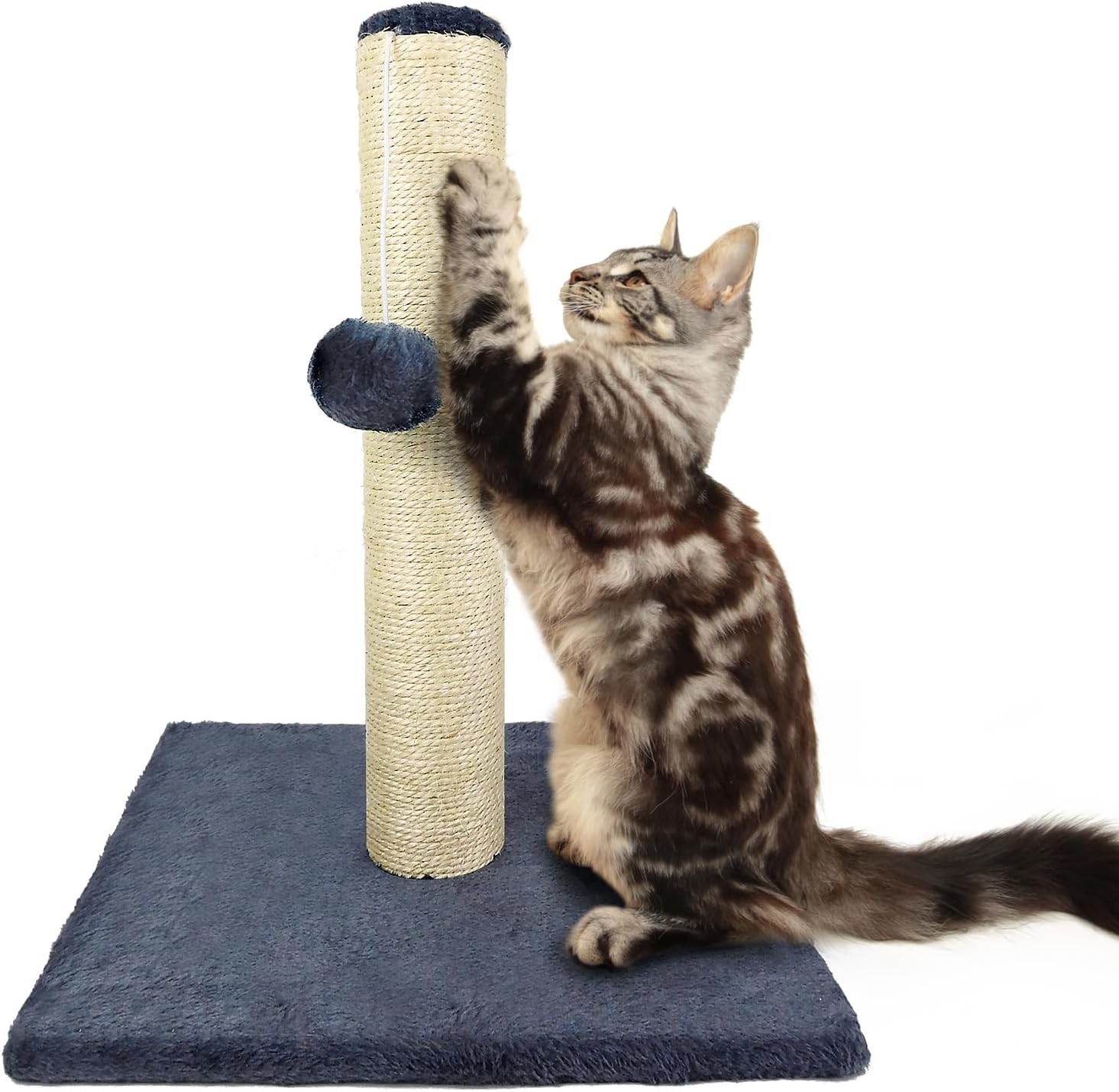 Cat Scratching Post for Indoor Cats, 40cm Tall Sisal Tree with Dangling ...