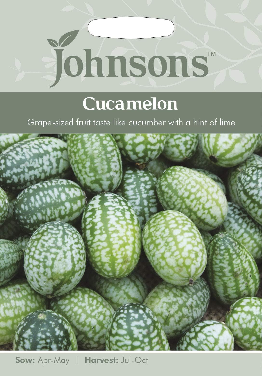 JustSeed - Vegetable - Cucamelon - 60 Seeds : Amazon.co.uk: Garden