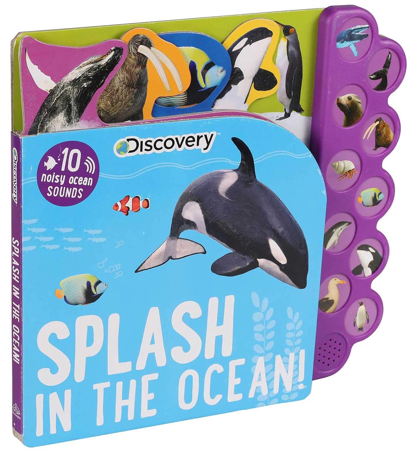 Splash in the Ocean! (Discovery 10 Noisy Ocean Sounds): Amazon.co.uk ...