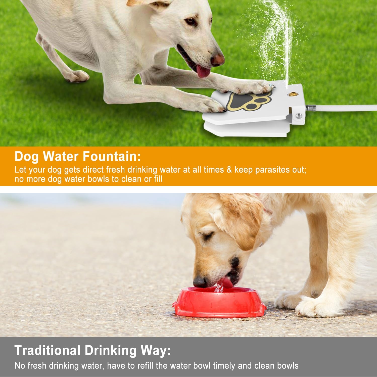 Snapklik.com : TeqHome Dog Water Fountain Step On, Outdoor Paw ...