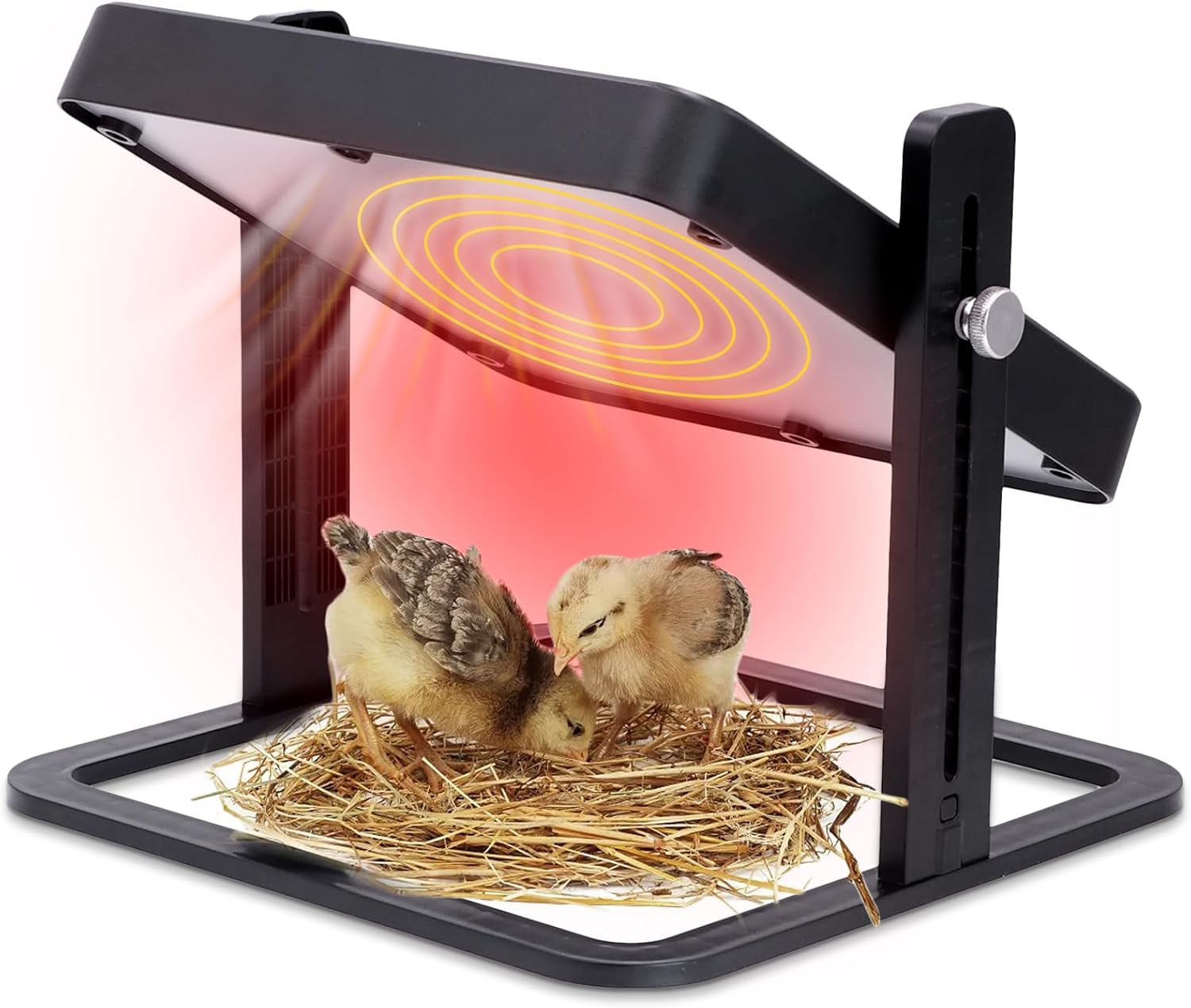 Amazon.com: MUDUOBAN Brooder Heater Plate for 15 Chicks Adjustable ...