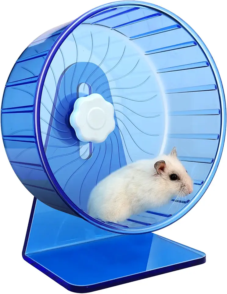 The Fascinating Explanation Behind A Hamster's Running On A Wheel | PetShun