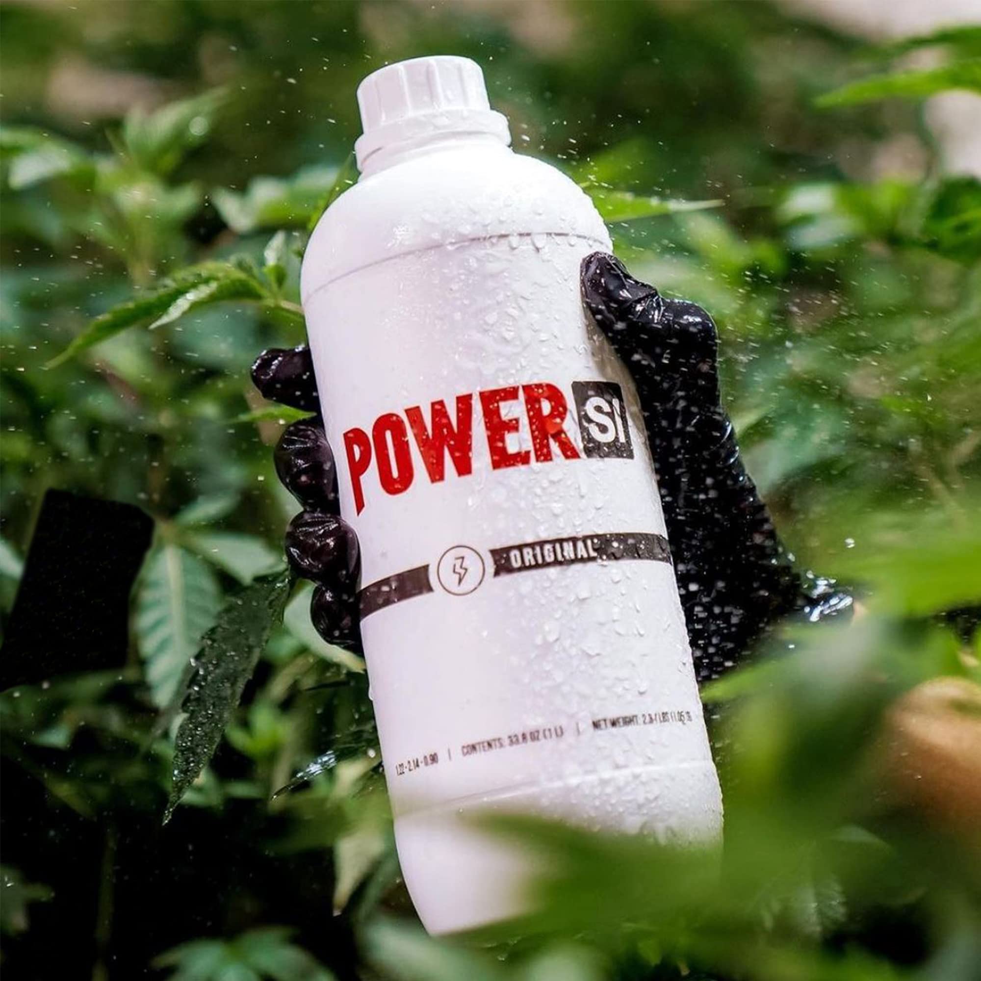 Buy Power SI Bloom 500ml - Patented Nutrient Formula of Bioavailable ...