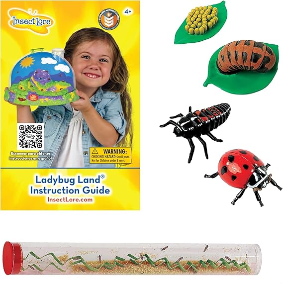 Amazon.com: Insect Lore Live Baby Ladybug Larvae - Ladybug Growing Kit ...
