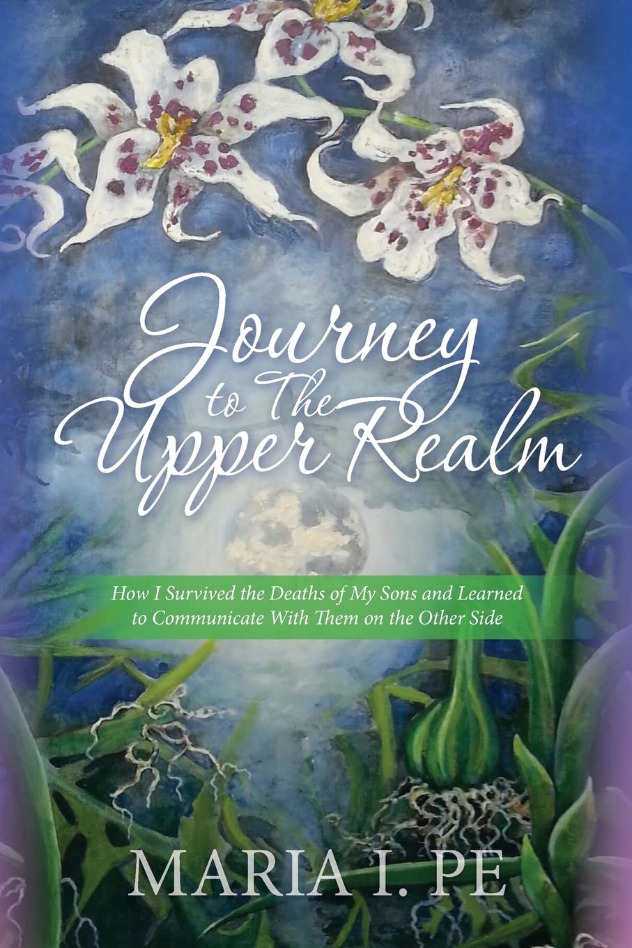 Journey to The Upper Realm: How I Survived the Deaths of My Sons and ...