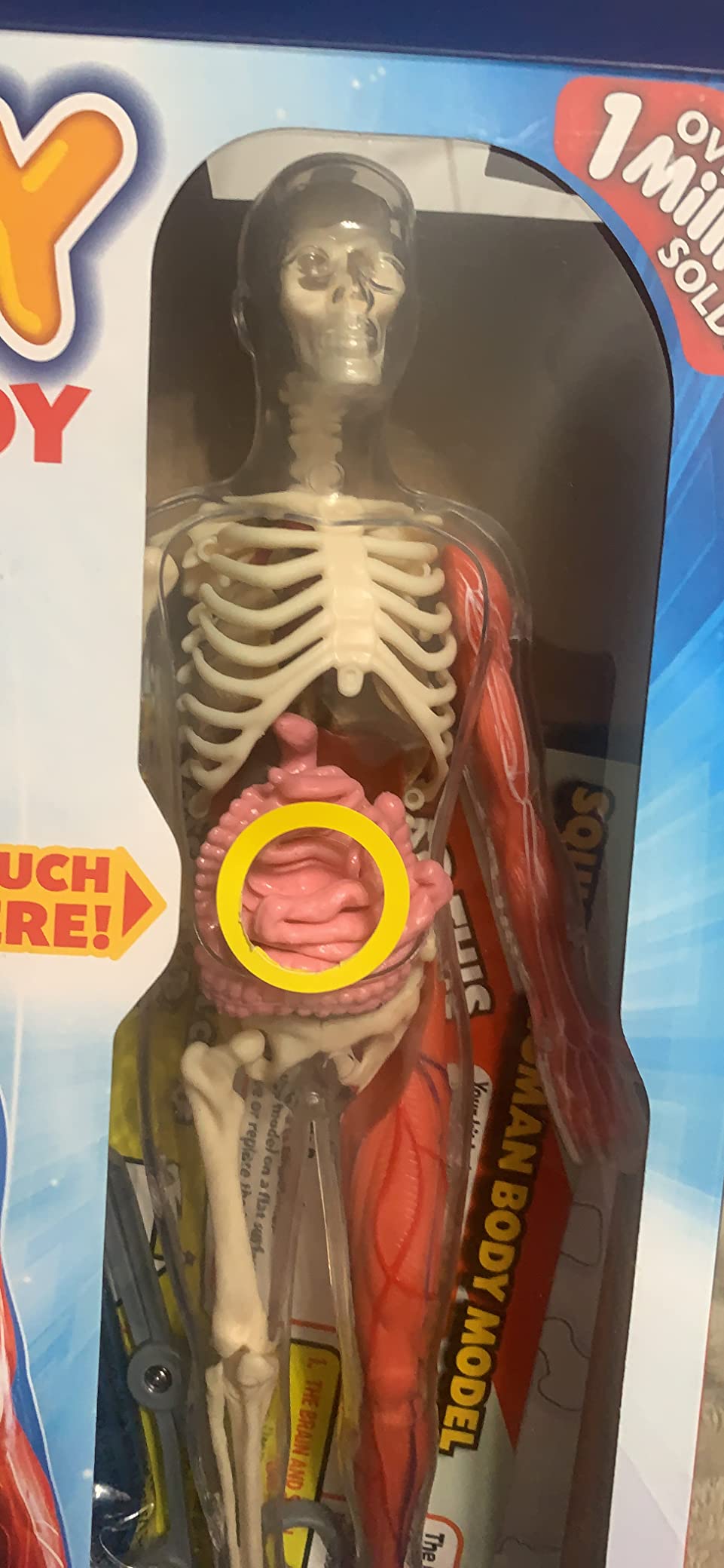 $6/mo - Finance SmartLab Toys Squishy Human Body with 21 Removable Body ...