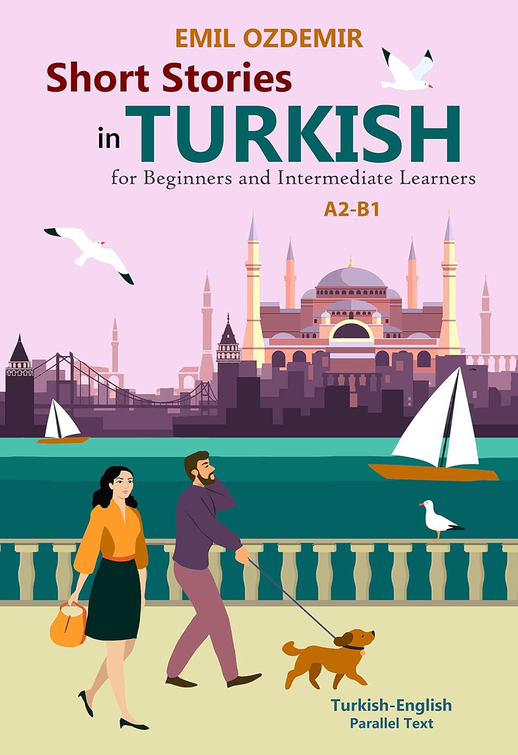 Amazon | Short Stories in Turkish for Beginners and Intermediate ...