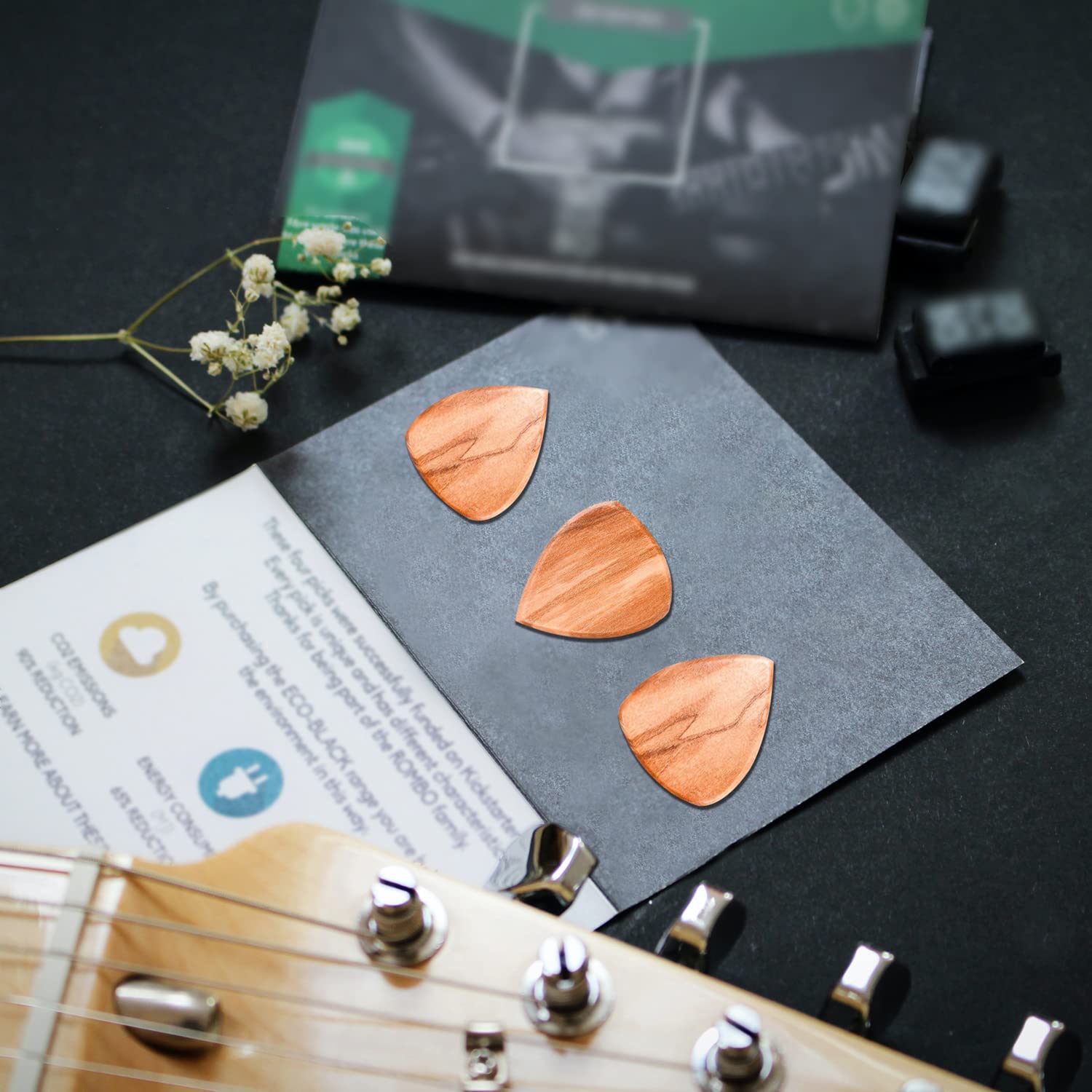 Snapklik.com : Guitar Picks Holder