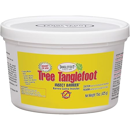 Amazon.com : Tanglefoot Tree Pruning Sealer, 8 oz. Brushcap : Patio ...