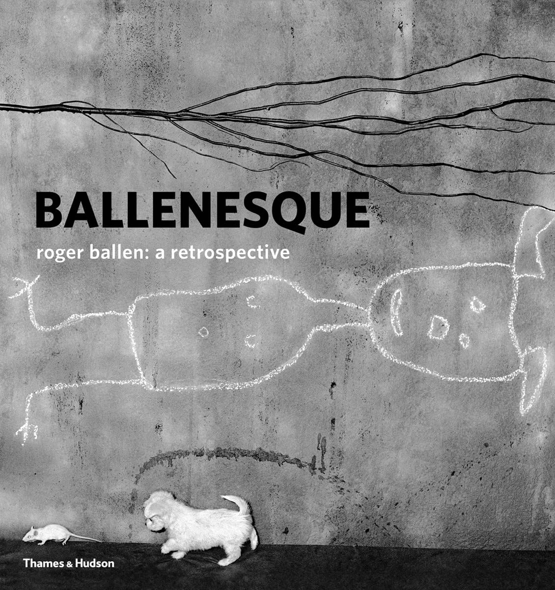 Amazon.com: Ballenesque: Roger Ballen: A Retrospective: 9780500519691 ...