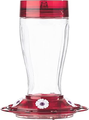 Amazon.com : More Birds Bird Health+ Ruby Hummingbird Feeder, Glass ...