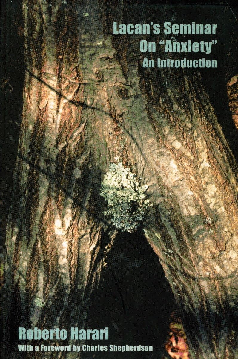 Lacan's Seminar on Anxiety: An Introduction (Lacanian Clinical Field ...