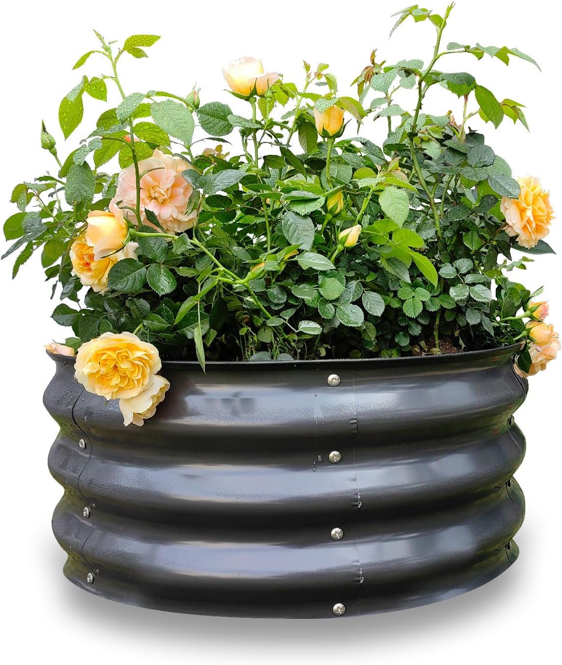 Gardmax 2x2x1FT Galvanized Round Raised Garden Bed Kit, Metal Planter ...