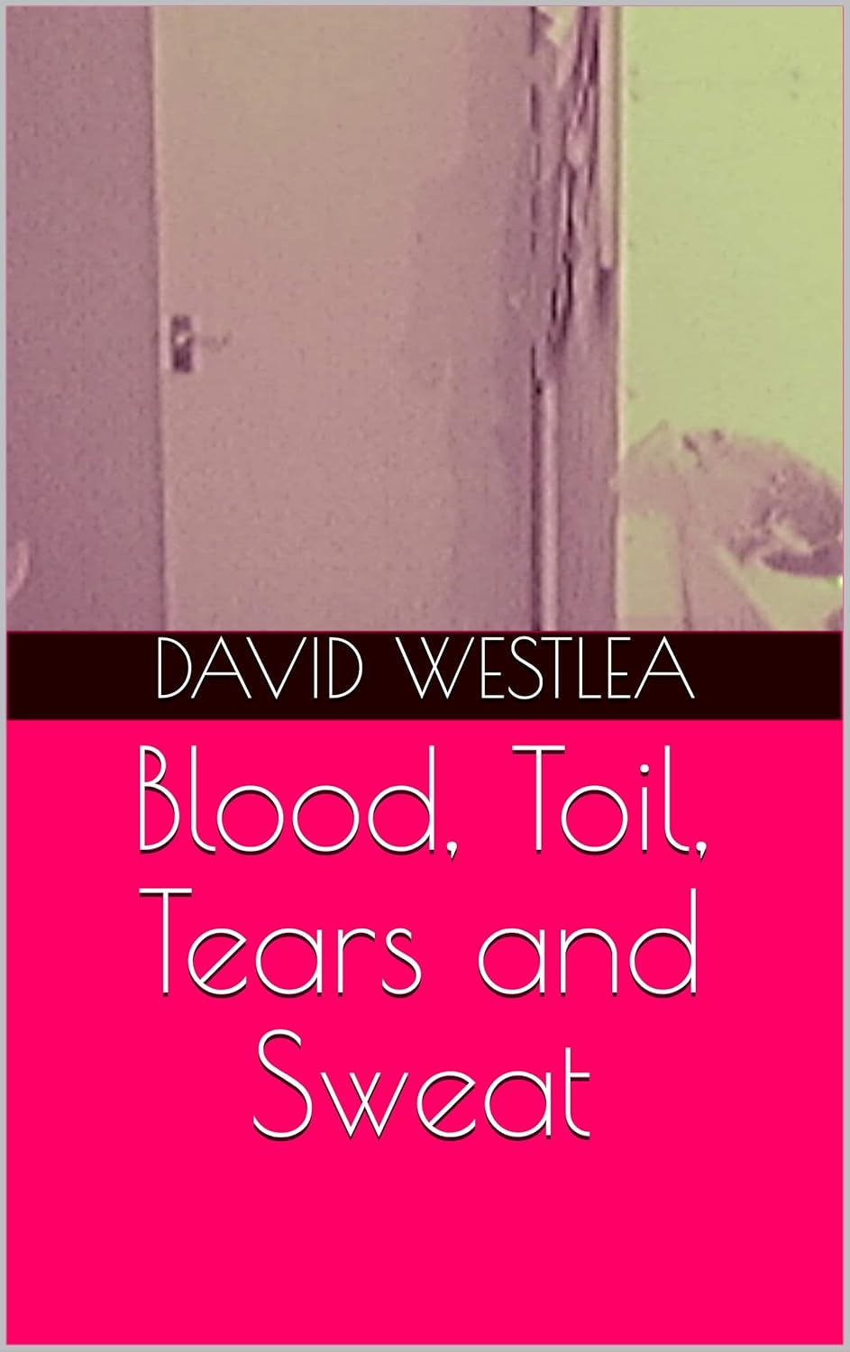 Blood, Toil, Tears and Sweat - Kindle edition by Westlea, David ...