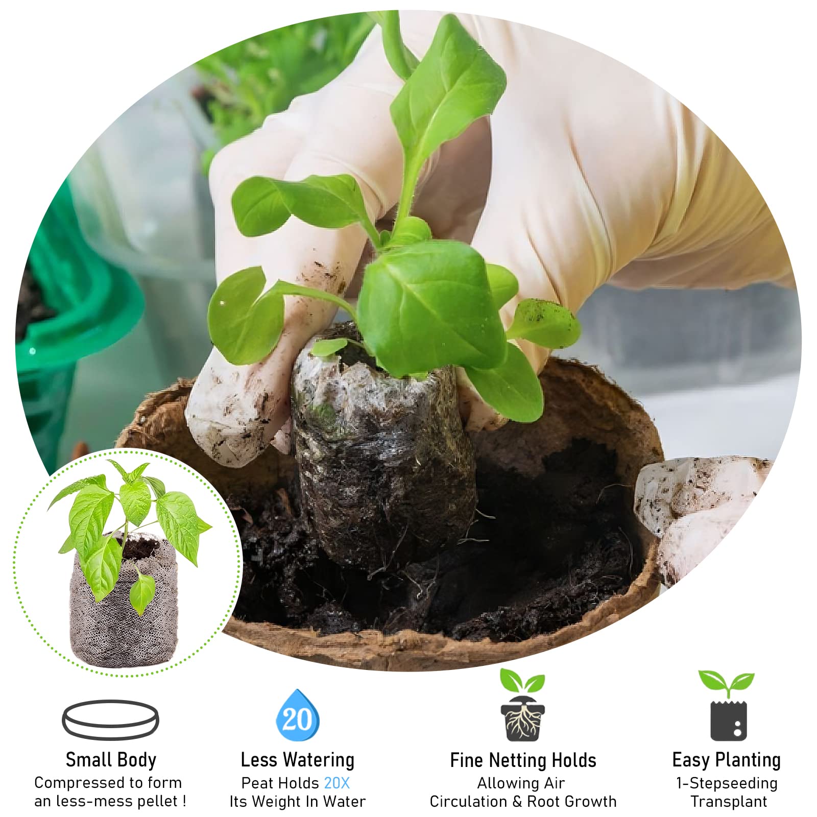 Snapklik.com : Legigo 100 Pcs 40mm Seed Starter Peat Pellets Pods For ...