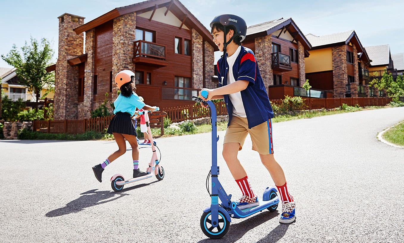 Ninebot Segway E8 Folding Electric Scooter For Kids 130W Motor 14Km/H ...