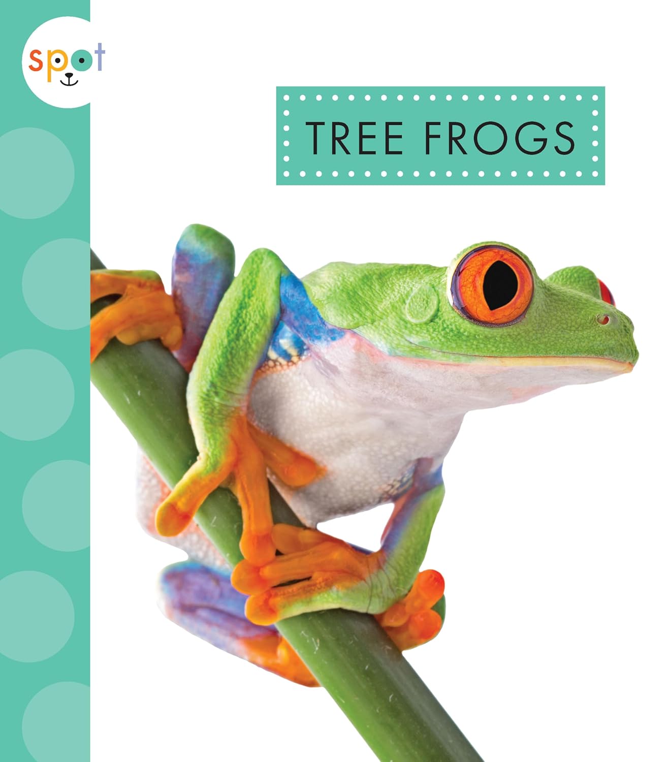 Tree Frogs: Thielges, Alissa: 9781681527895: Amazon.com: Books